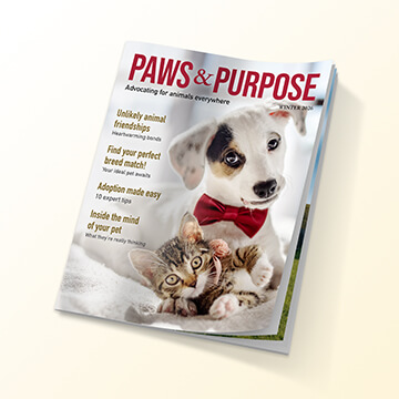 Fast & Affordable Custom Book Printing Services | OnPress